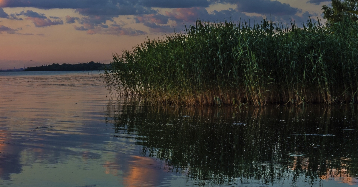 Краснодарское водохранилище: где находится, описание, история
