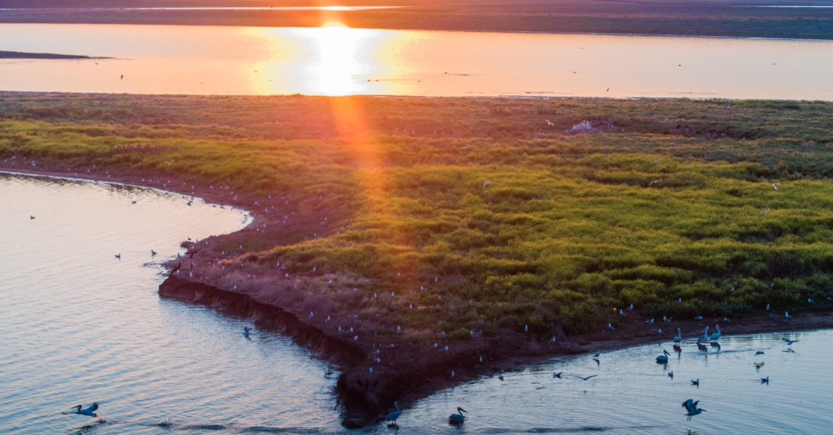 Озеро Маныч-Гудило: где находится, описание, история